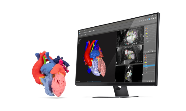 Geomagic D2P - Rapid Scan 3D